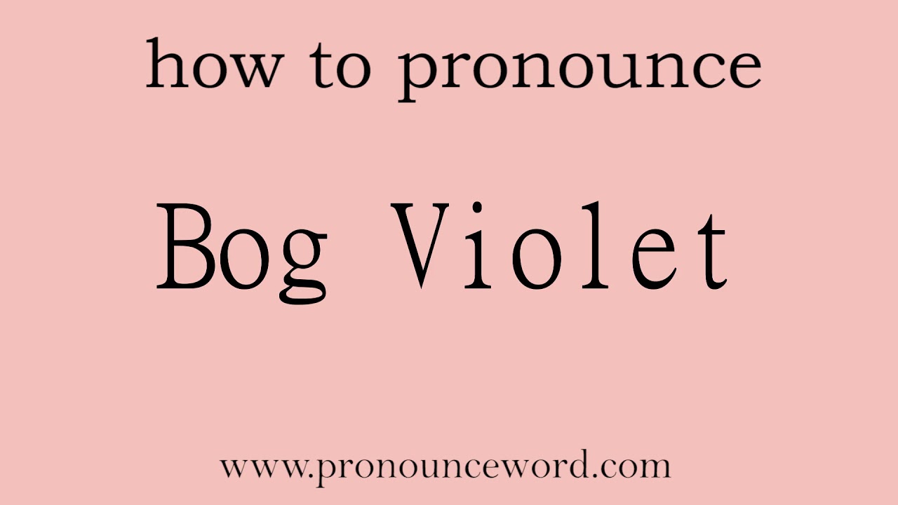 Bog Violet. How to pronounce the english word Bog Violet .Start with B ...