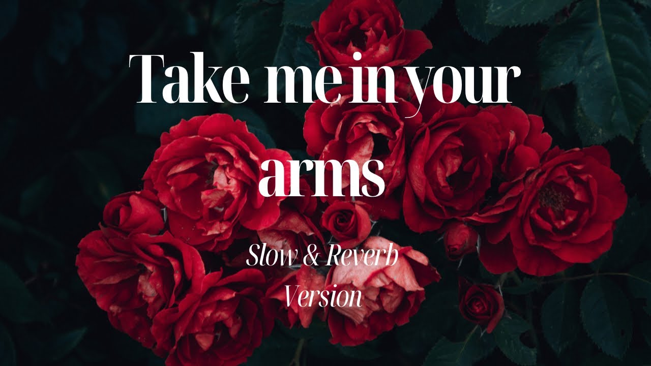 Take Me In Your Arms Arabic Song Slowed Reverb take-me-in-your-arms-arabic-song-slowed-reverb
