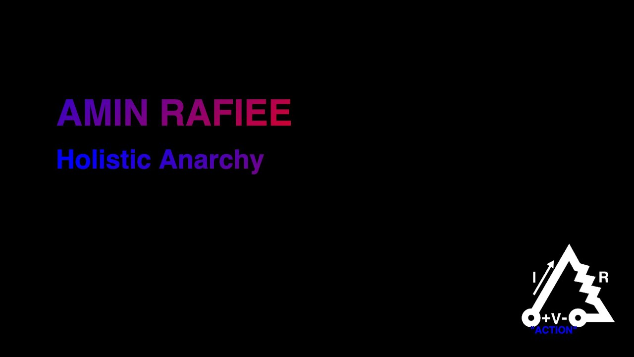 HCPP23 | Amin Rafiee - Holistic Anarchy - YouTube