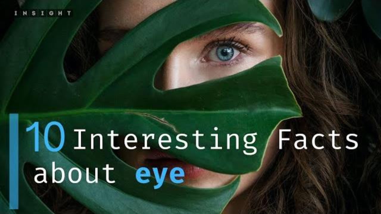 Top 10 Interesting Facts About Eyes – Part 1 || Eye Facts - YouTube