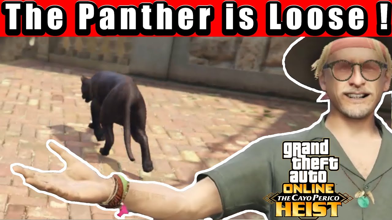 El Rubio's panther is loose! Gta Online - YouTube