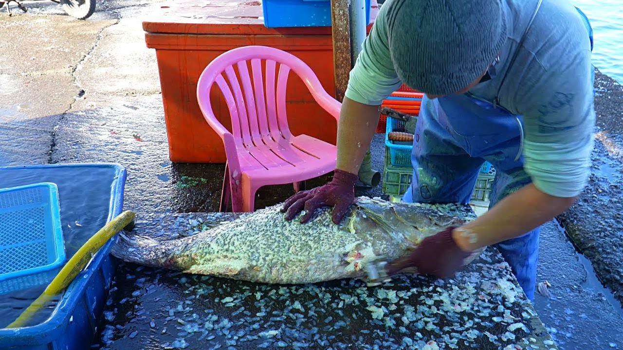 Skilled Fishermen in Processing Grouper: Revealing the Expert ...