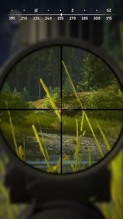 How and where to find Hollywood | Way of the Hunter #shorts - YouTube