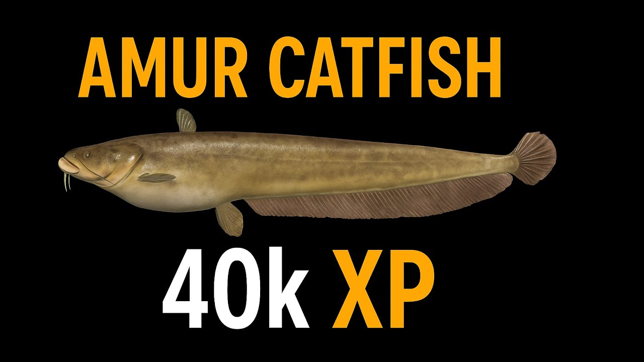 🎣 Amur Catfish Caught on Mouse Lure! | RF4 #Shorts - YouTube