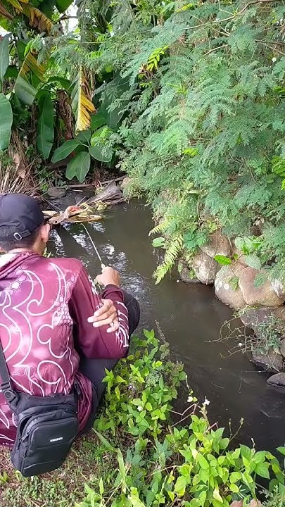 mancing ikan nilem di selokan #mancing #mancinglahpwt - YouTube