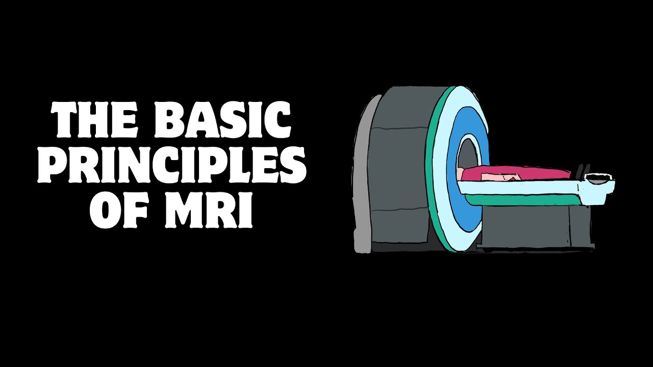 The Basic Principles Of MRI - YouTube