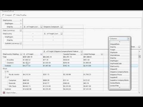 Exontrol ExPivot - First Look - YouTube