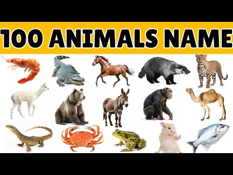 100 animals name for Kids| Animal names in English with pictures ...
