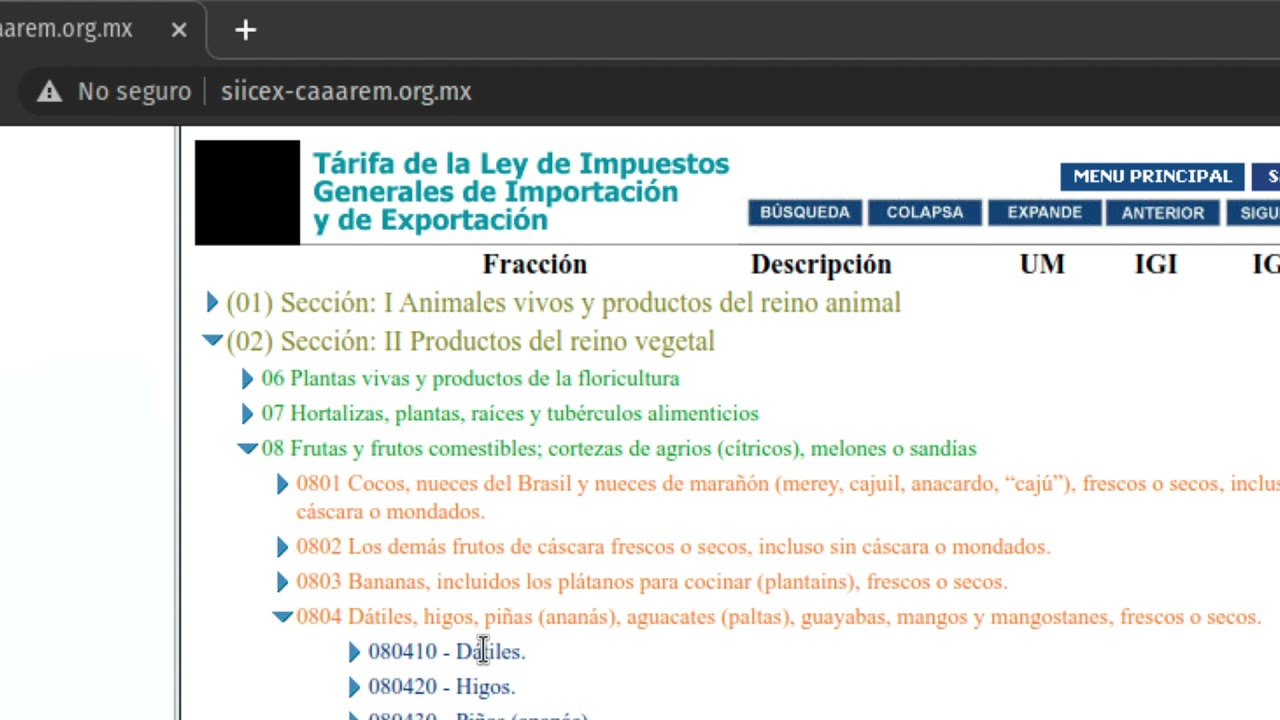 Tutorial SIICEX - YouTube