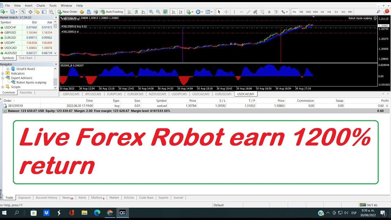 Live Forex Robot earn 1200% return on fx accounts from 70 usd ( for all ...