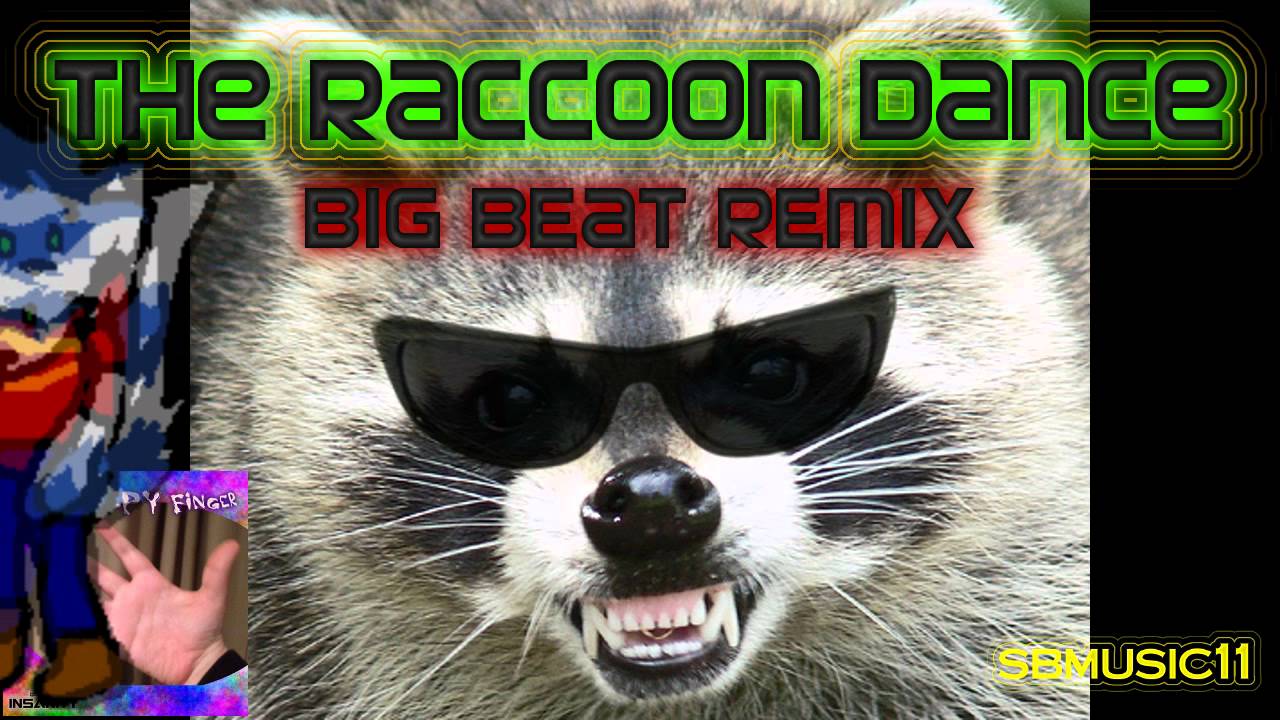 Cure for Insanity: The Raccoon Dance (Original Composition) - YouTube