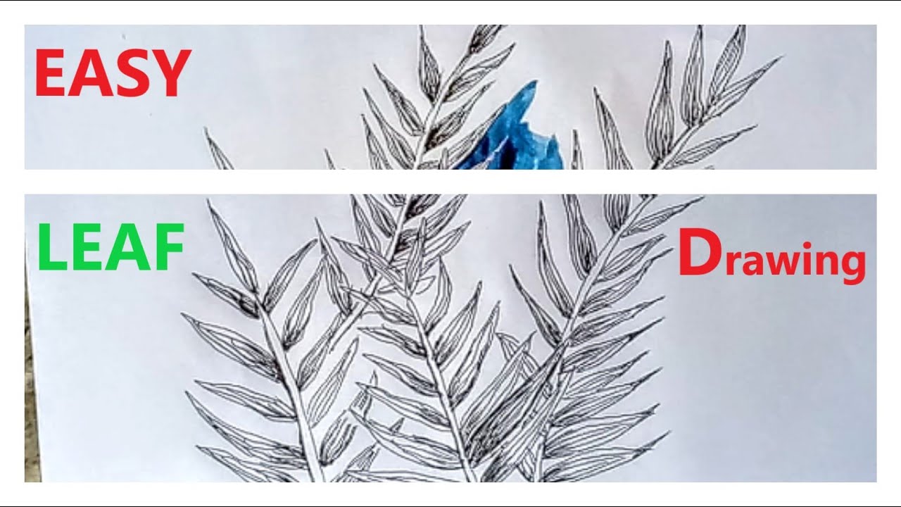 HOW TO DRAW LEAF | Easy And Simple | Line Practices and Line illusions ...