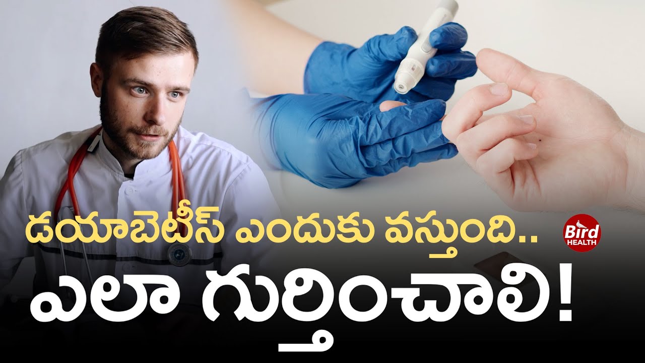 డయాబెటీస్ ఎందుకు వస్తుంది | Why Does Diabetes Occur ? | Bird Health ...