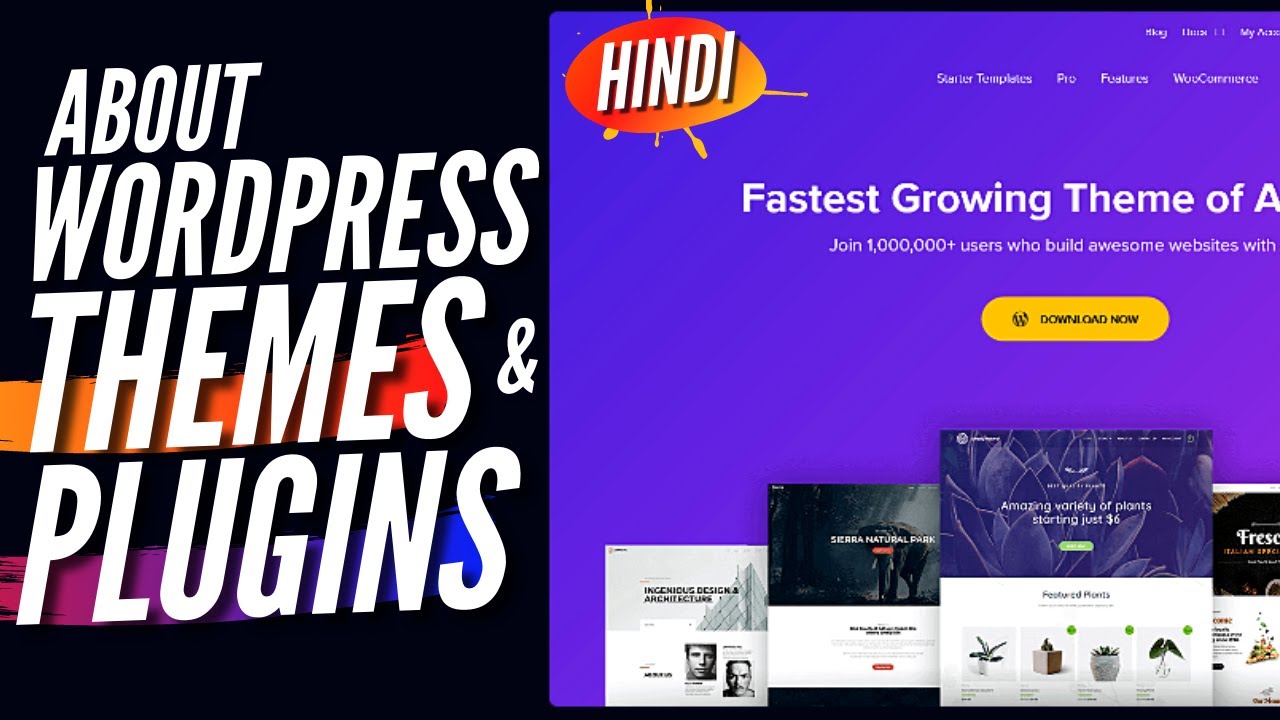 What Is A Theme & Plugin In WordPress? [HINDI] | Lesson - 4.1 - YouTube