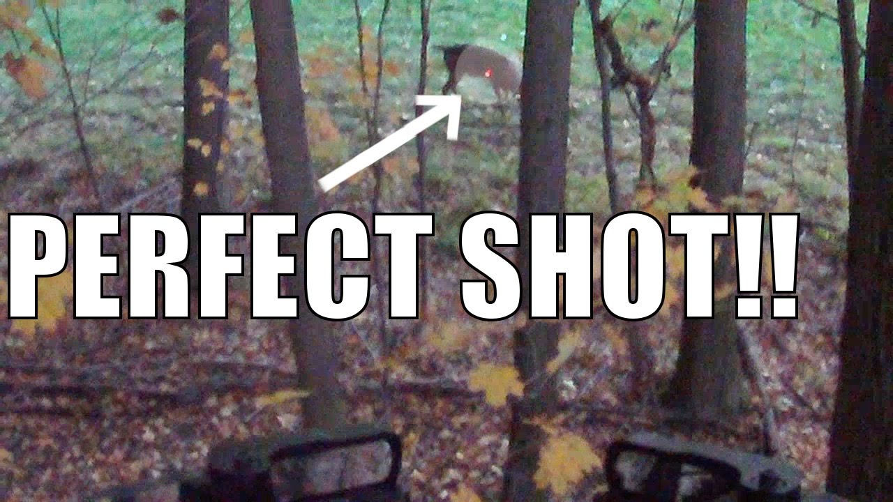 FIRST PERSON VIEW CROSSBOW SHOT! | ORWA - YouTube