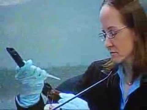 Neil Entwistle Trial: Day Six: "DNA on Gun" - YouTube