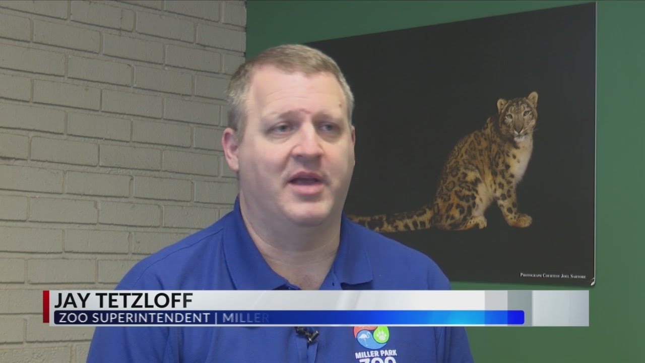 Katthoefer Animal Building to close again at Miller Park Zoo - YouTube