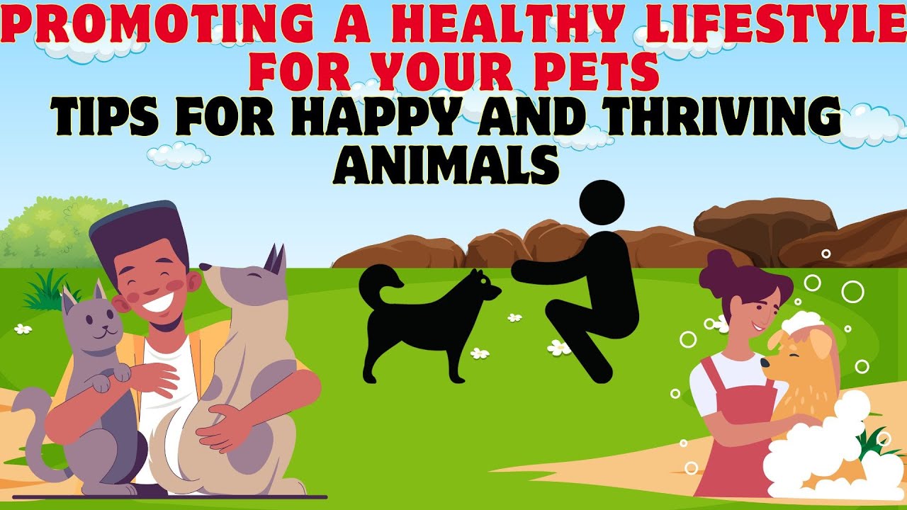 Promoting A Healthy Lifestyle For Your Pets: Tips For Happy and ...
