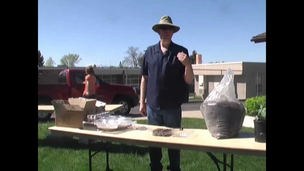 Seed Starting with Caleb Warnock - YouTube