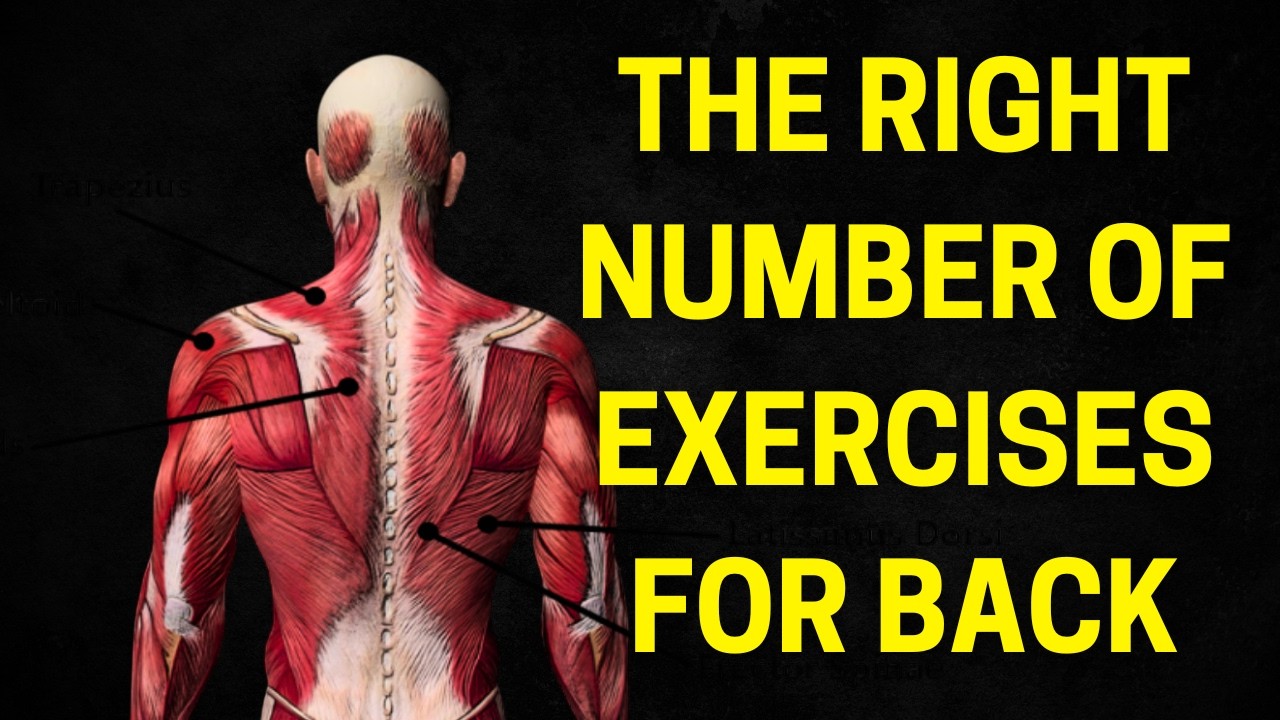 How Many EXERCISES Should You Do for BACK? - YouTube