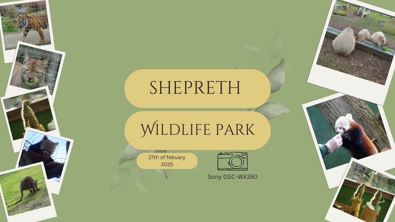 Shepreth wildlife park - YouTube