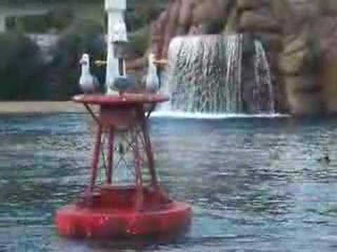 Finding Nemo Submarine Voyage - Seagull buoy - YouTube