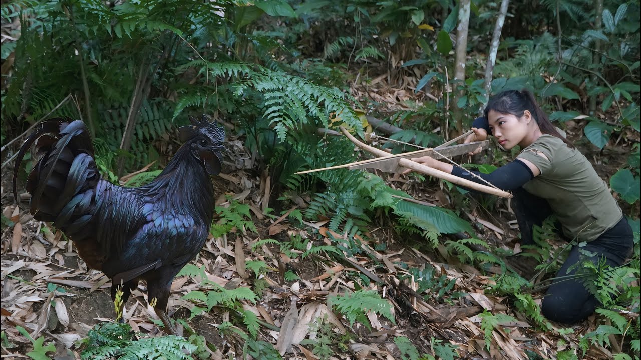 hunting skills for wild chickens at night, searching for food for the ...