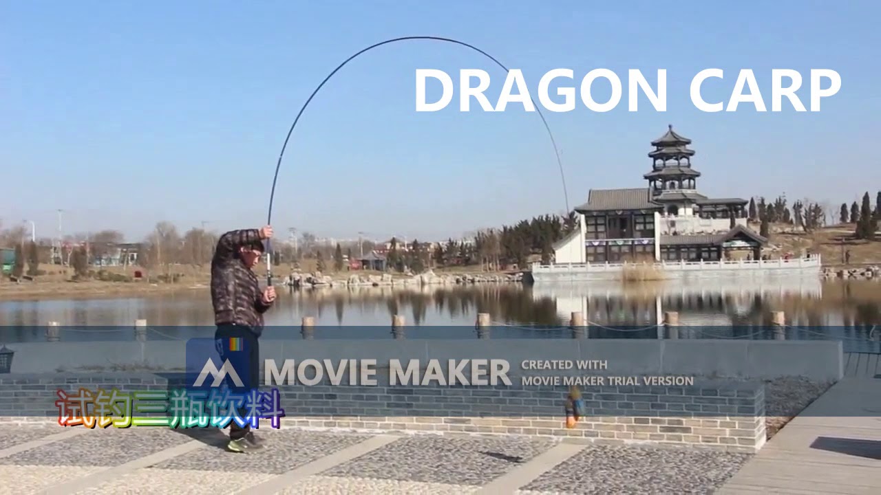 DRAGON CARP - YouTube