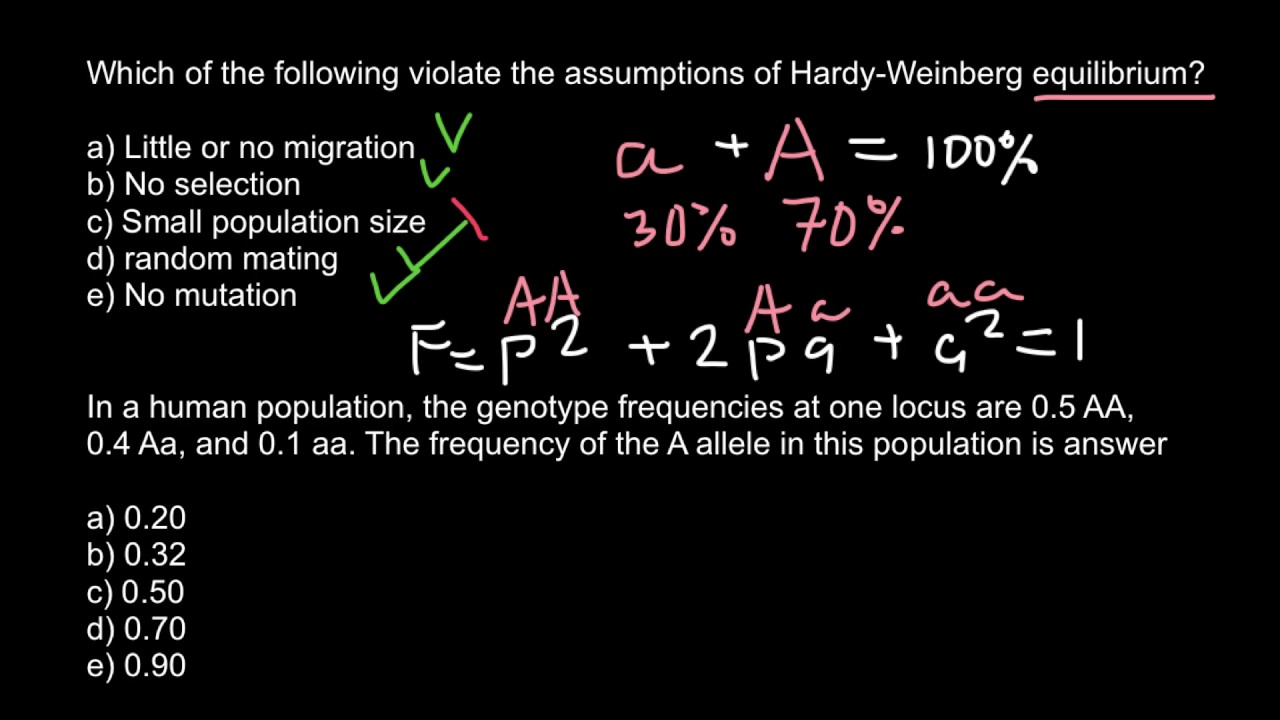 Population Genetics Questions And Answers YouTube population-genetics-questions-and-answers-youtube
