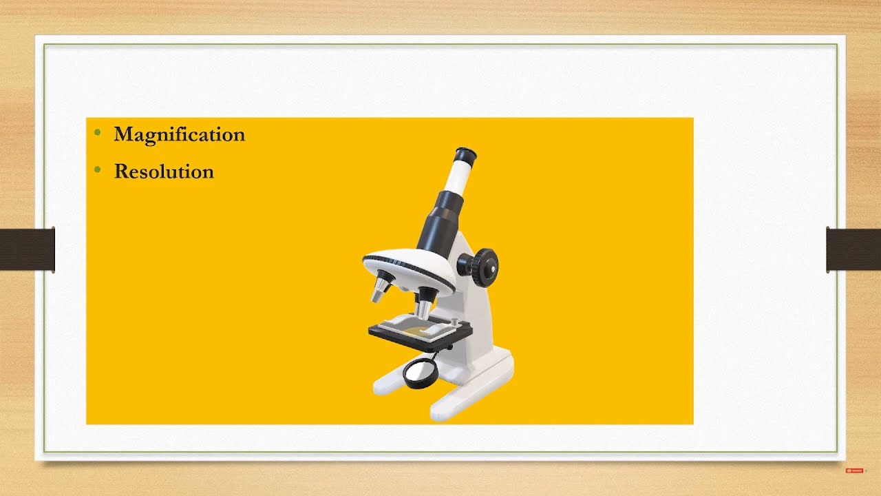 Magnification Resolution YouTube magnification-resolution-youtube