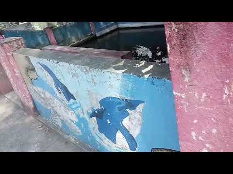 sendang bulus Mantup Lamongan