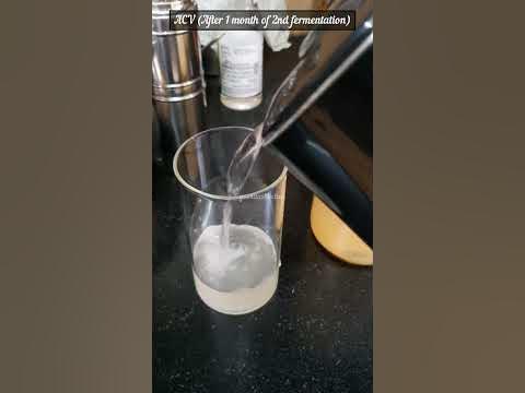 ACV(After 1 month of 2nd fermentation) | Needs more fermentation time | still sweet #shorts # ...