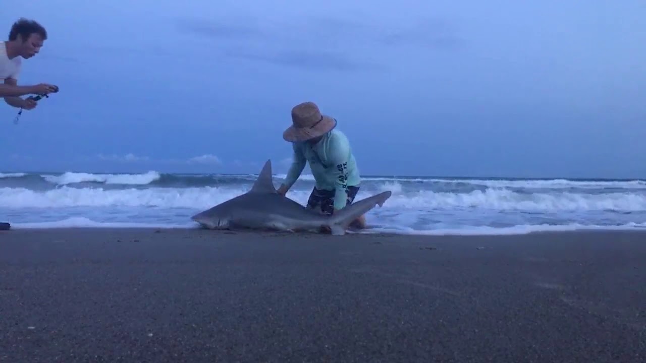 Emerald Isle shark fishing - YouTube