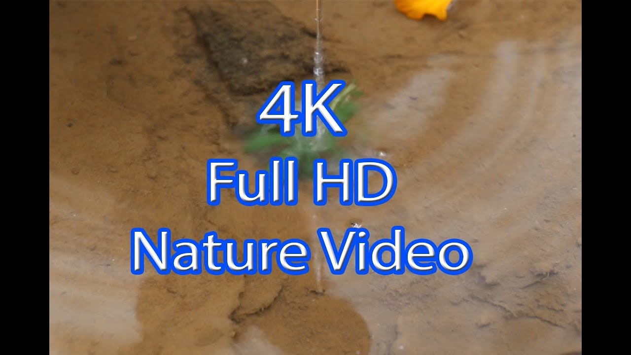 Water Drop full hd 4k Nature Background non copyright free download ...