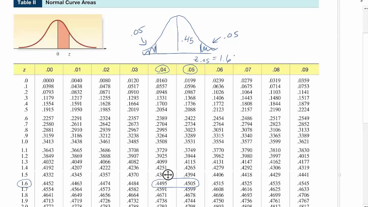 Confidence Intervals - Proportions EX 2 - YouTube