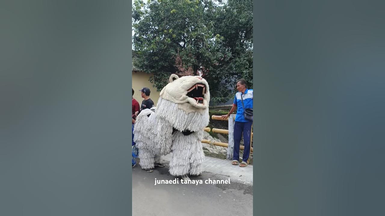 Can macanan beraksi😍 - YouTube