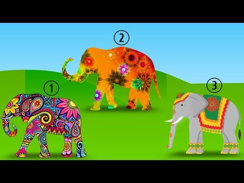 Elige el elefante que más te guste y descubre con qué contrato del alma ...
