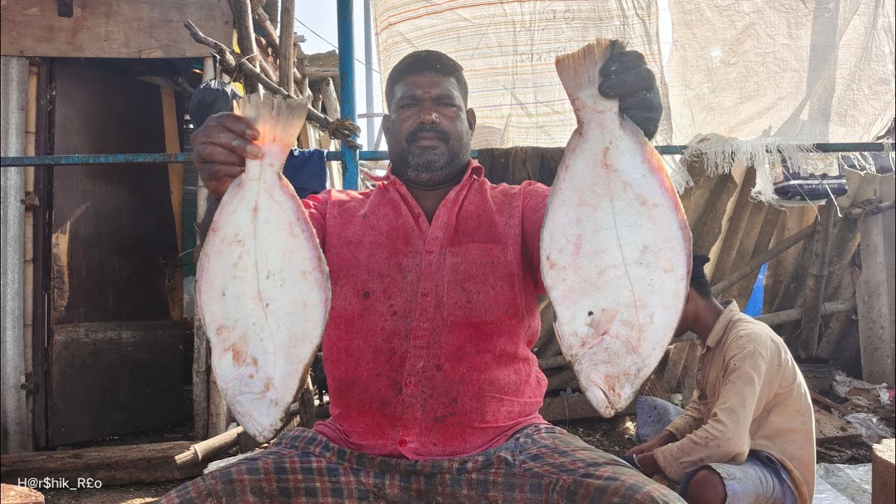 FRESH TASTY NAAKU(MEEN) FISH CUTTING💥| KASIMEDU RAJA FISH CUTTING | 4K ...