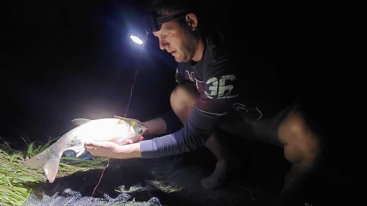 Fitofag/Novac/Lacul Buzatu 2022. Multiple capturi si rateuri 🐋🐬🐳🦈🐡🐠🐟🐬💥💥 ...