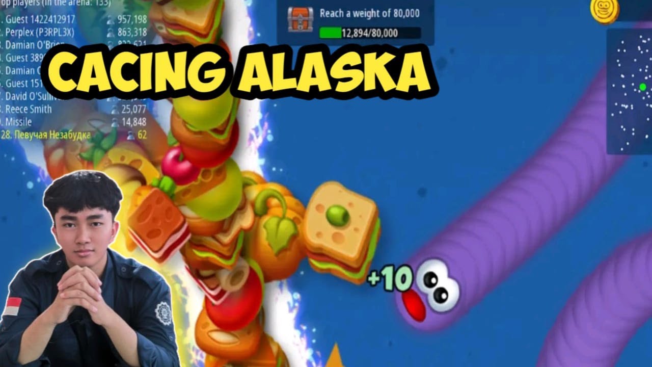 cacing alaska - YouTube