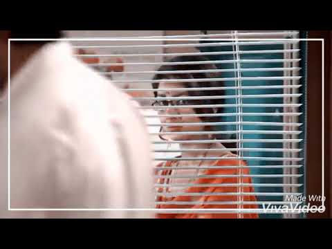 Женская доля Абхи и Прагья