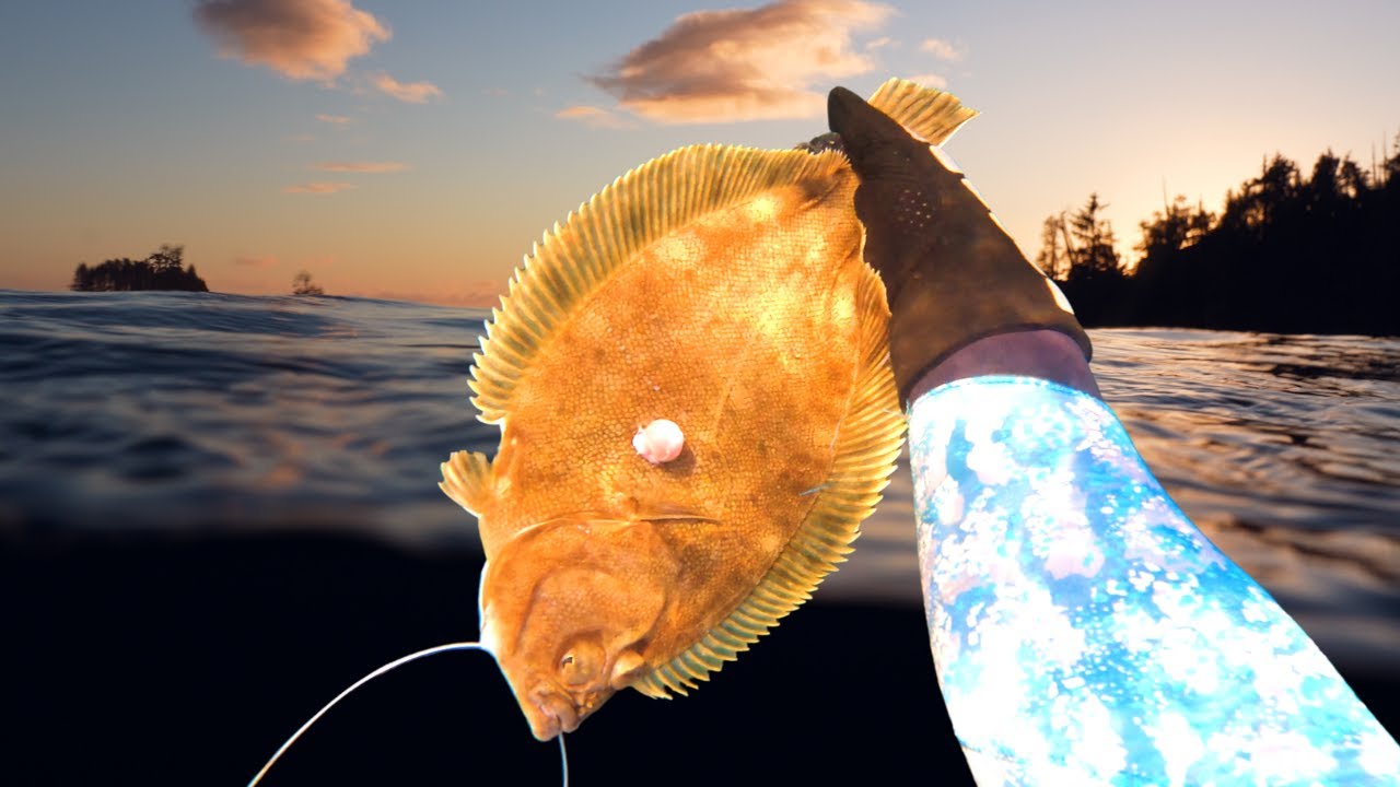 Spearfishing a ROCK SOLE on Vancouver Island - CATCH, CLEAN, COOK - YouTube