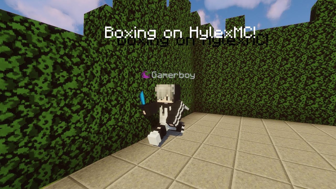 Boxing on HylexMC - YouTube