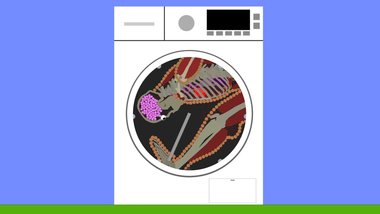 【Algodoo】Put the mannequin in the washing machine. 人体模型を洗濯機にかける - YouTube