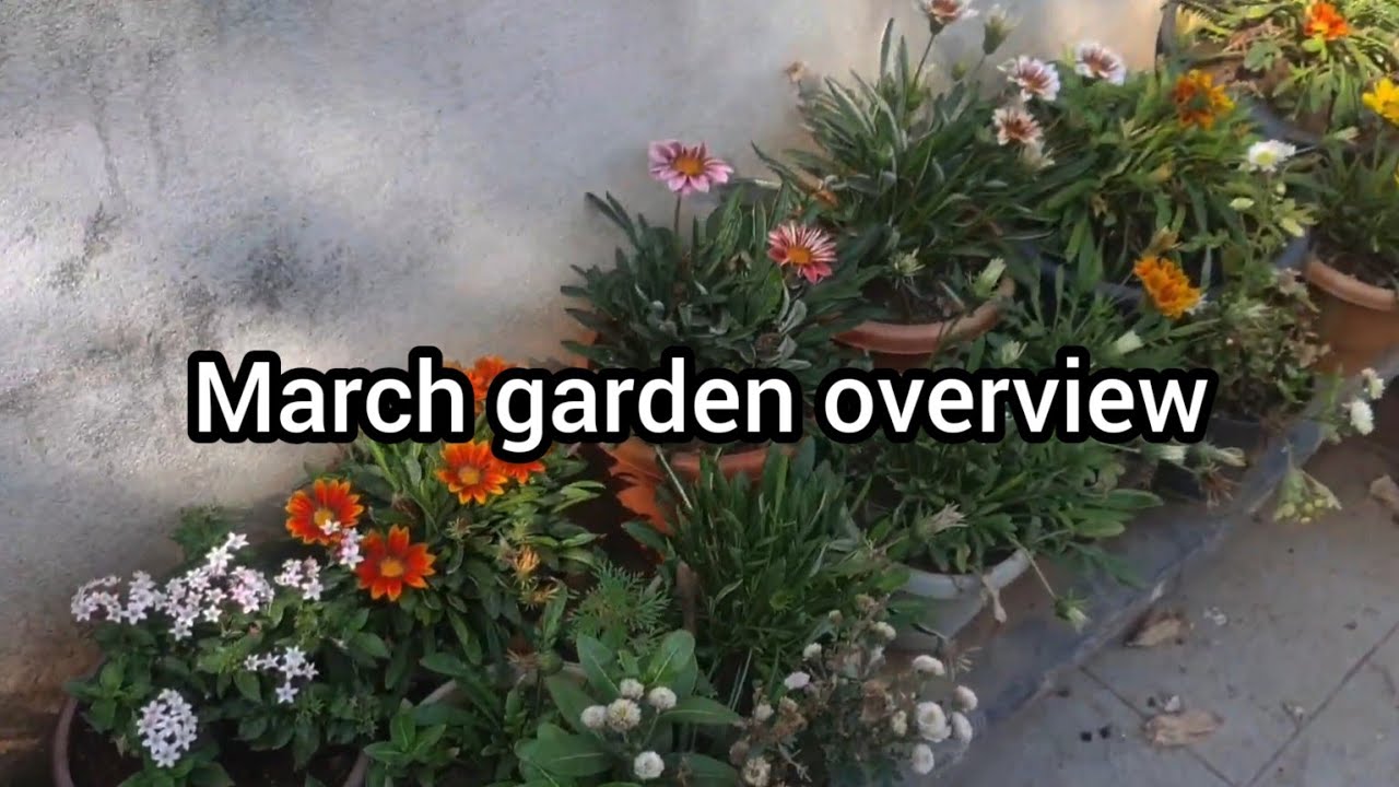 March Garden overview - YouTube