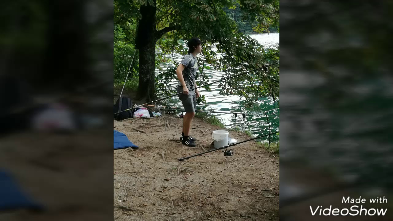 Carp fishing lake bled - YouTube