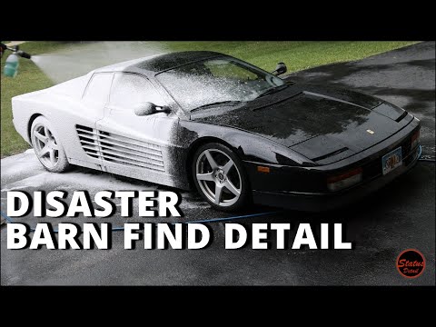 Ferrari Testarossa Barn Find Detail | Paint Correction Restoration