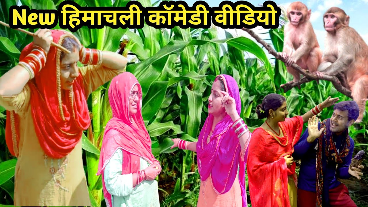 Home minister ने की chief minister से चुगली! Dev himachali - YouTube