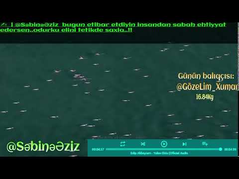 Tik Tok Azerbaycan 7/24 Canli Yayin