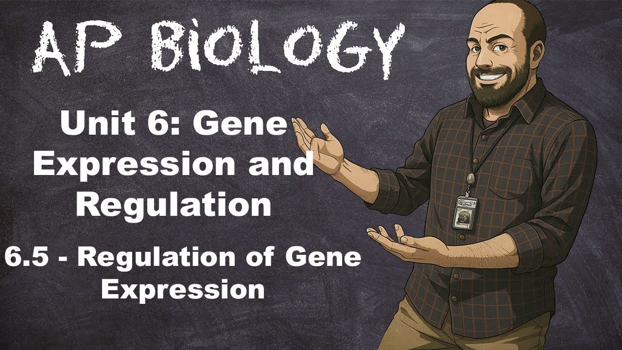 AP Bio Unit 6 – Topic 6.5 – Regulation of Gene Expression - YouTube